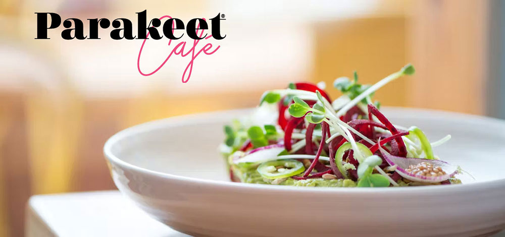 New Restaurant Partners as of November 15 - Dinova